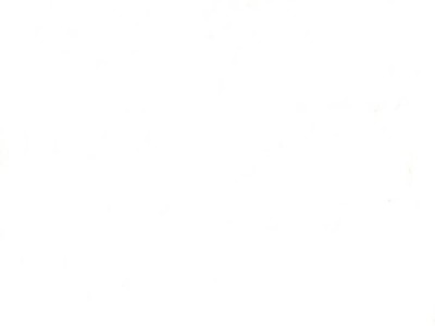 【vivo Y78+ 12GB/256GB】报价_参数_图片_论坛_vivo vivoY78+手机报价-ZOL中关村在线